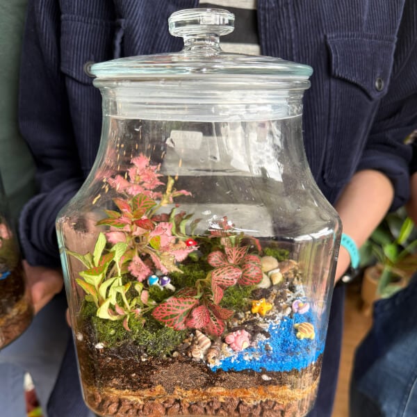 Easter Special Tropical Terrarium Workshop in Sydney | ClassBento