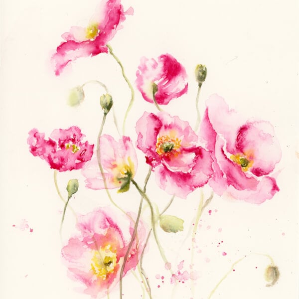 Watercolour Floral Painting Workshop Brisbane | Gifts | ClassBento
