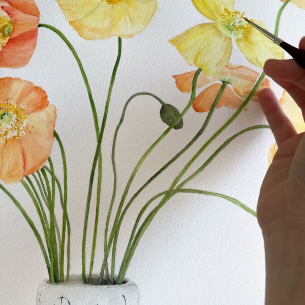 Paint and Pick - Watercolour Workshop on the Flower Field Brisbane | ClassBento