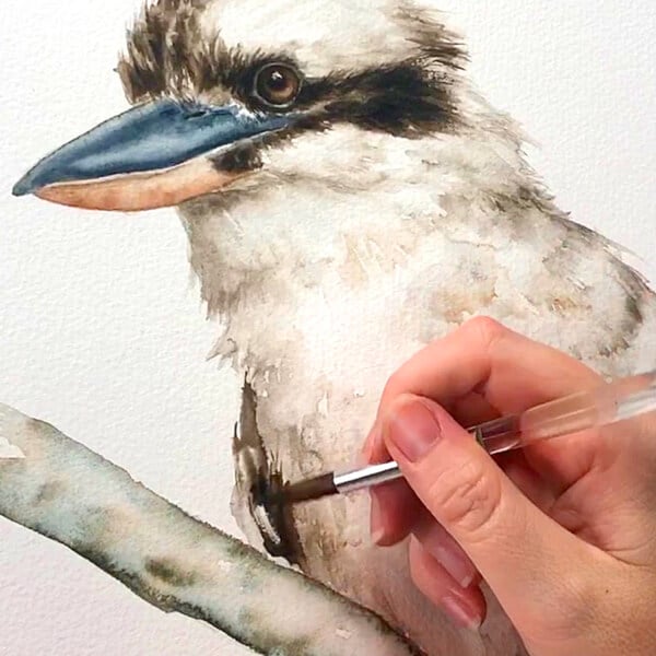 Watercolour Class: Paint a Kookaburra Brisbane | Gifts | ClassBento