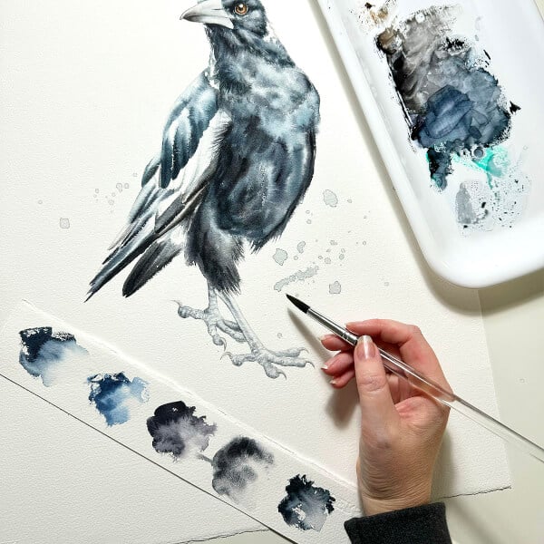 Watercolour Class: Paint a Magpie Brisbane | Gifts | ClassBento