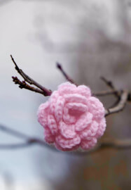 Crochet Rose-Making Workshop Sydney | Gifts | ClassBento