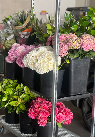 Introduction to Sustainable Floristry Workshop Melbourne | ClassBento