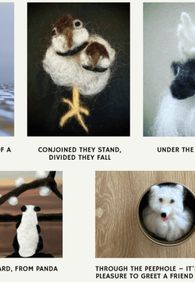 Needle Felting Class Wool Sculptures Perth Ts Classbento