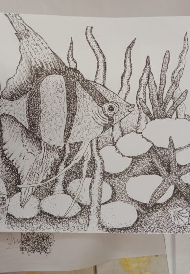 Scribble and Sip Art Class for Beginners NSW Country | ClassBento