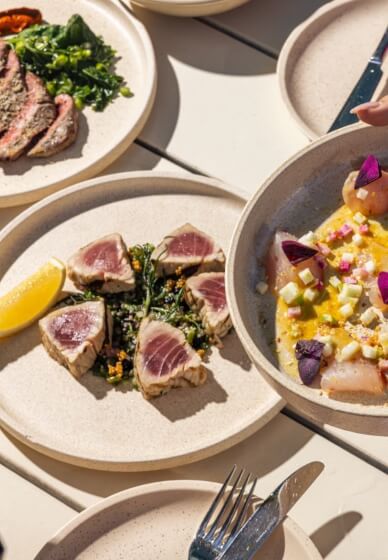 Seafood Cooking Class Sydney | Gifts | ClassBento