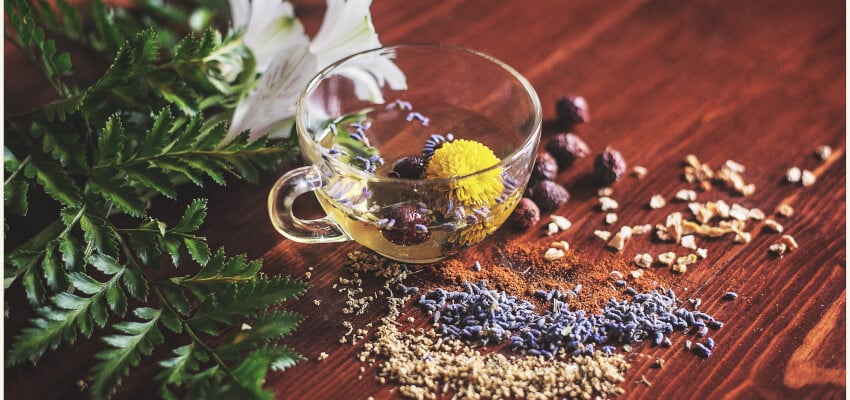 Tea Classes and Experience Gifts Australia | ClassBento