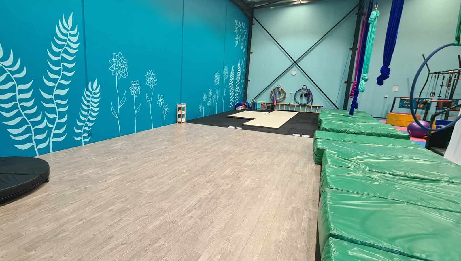 Bluebird Diverse Movement | Workshop Venue in Prestons | ClassBento