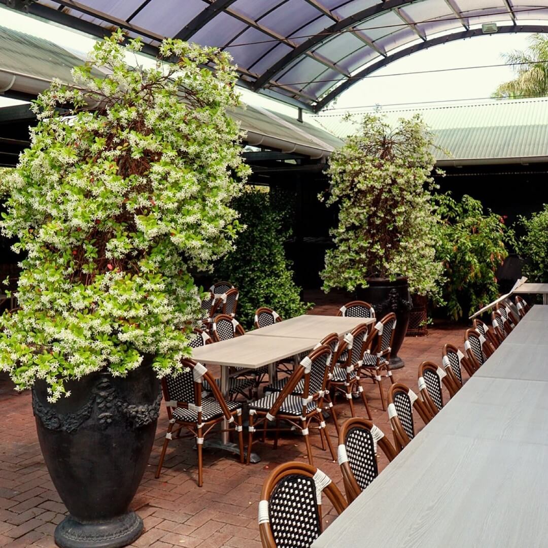 Cricketers Arm Hotel, Cooks Hill | Workshop Venue in Cooks Hill ...