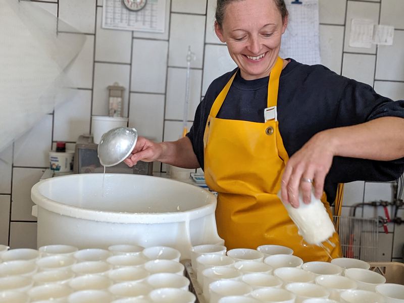 Learn How to Make Cheese for Beginners | ClassBento